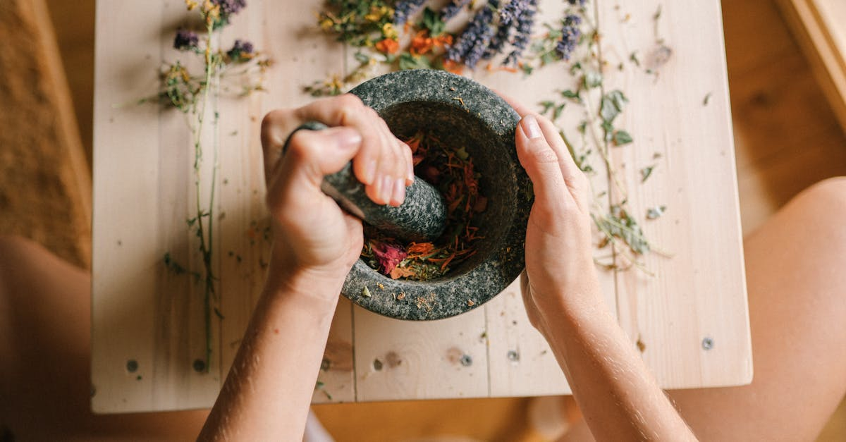 Comment extraire efficacement les principes actifs des plantes ...